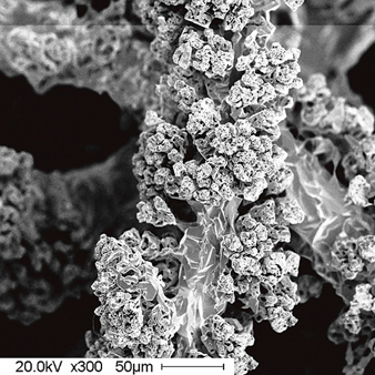 Material portfolio | Platinum Engineered Materials | Umicore